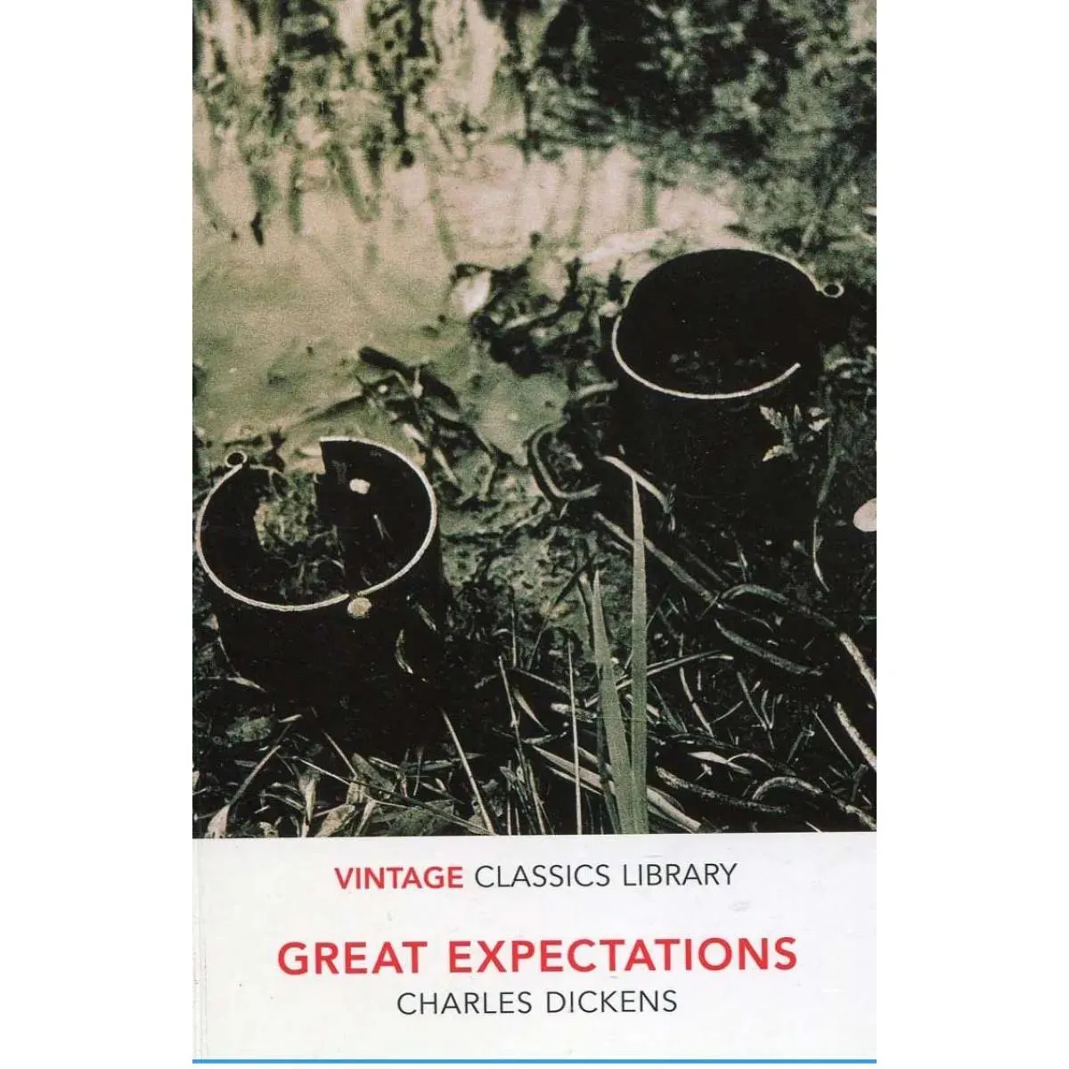 Great Expectations