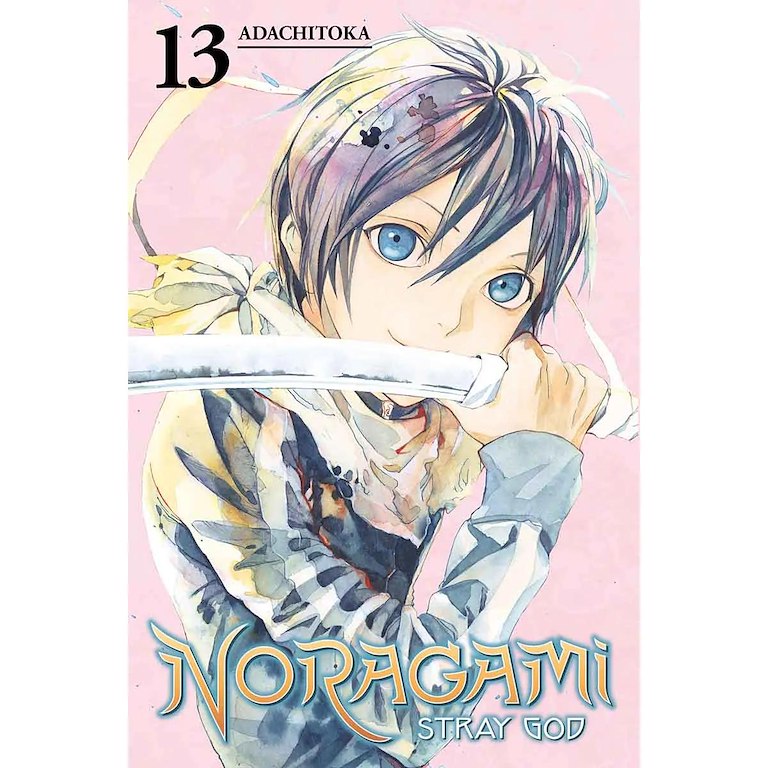 NORAGAMI STRAY GOD VOL 13