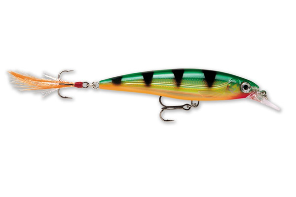 Rapala X-Rap XR-8 Perch