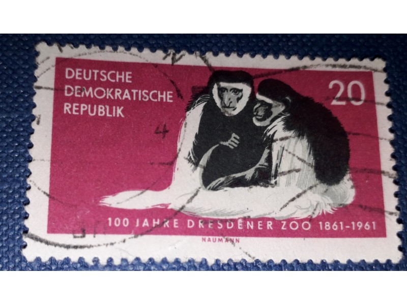 DDR 1961 ZOO