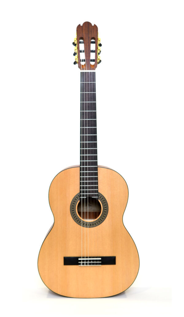 El Toro Cadete klasična gitara sa torbom