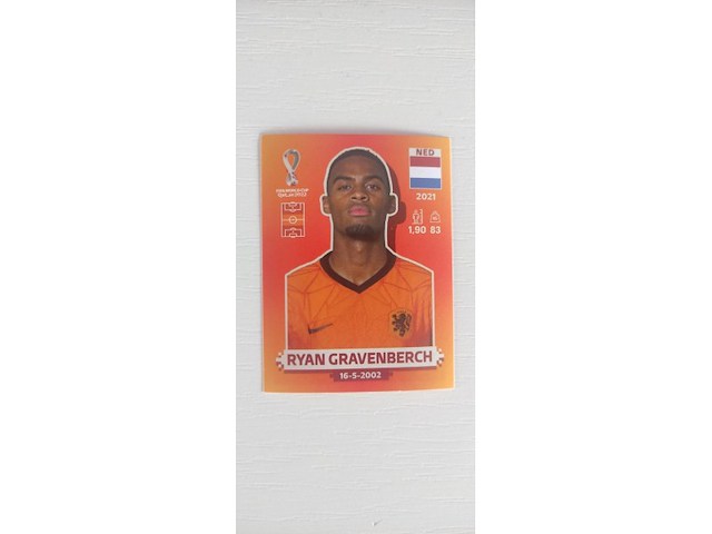 Panini FIFA 2022 Qatar NED 11