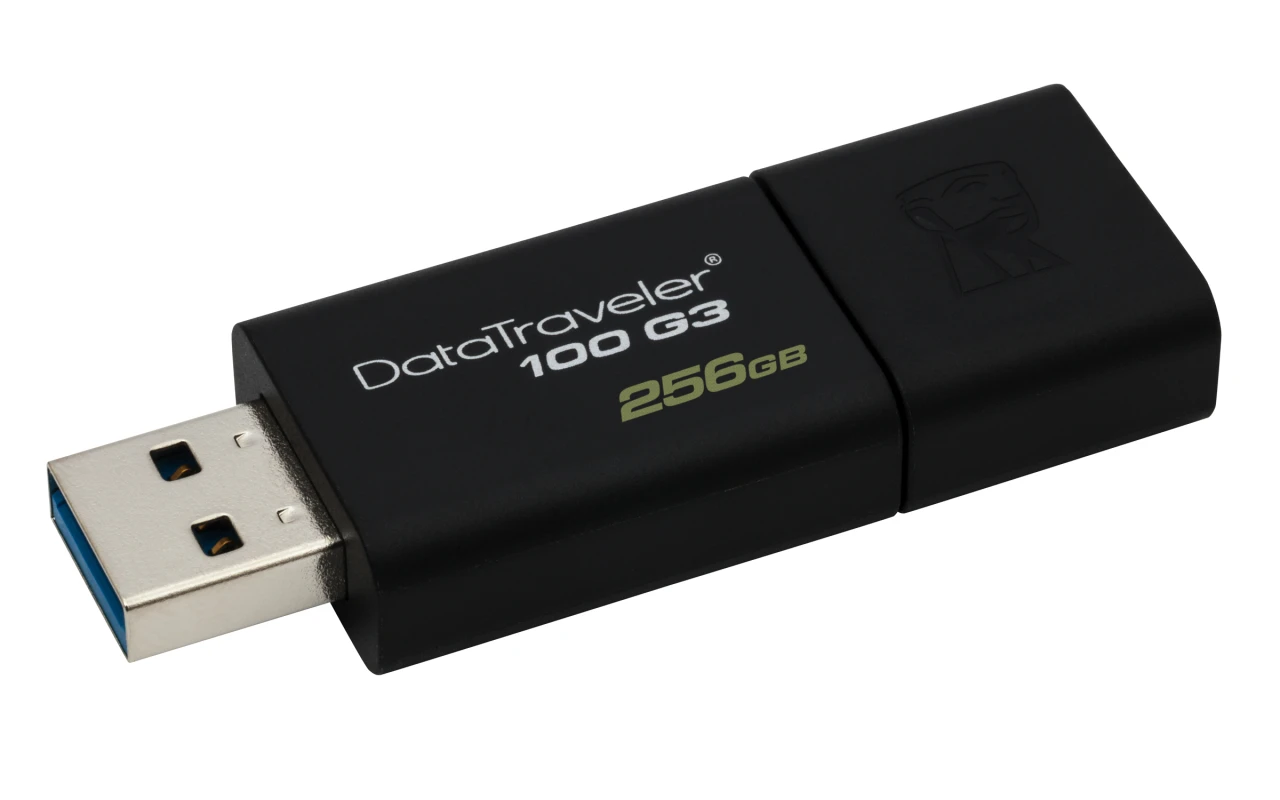 Kingston DataTraveler 100 G3 (DT100G3/256GB) flash memorija 256GB USB 3.0