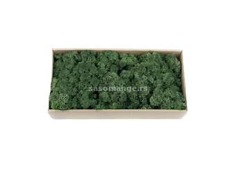 Mahovina 500g zelena