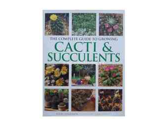 Cacti and succulents