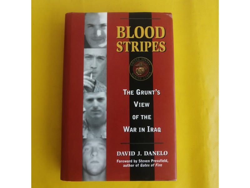 Blood Stripes - The Grunt's View of the War in Iraq