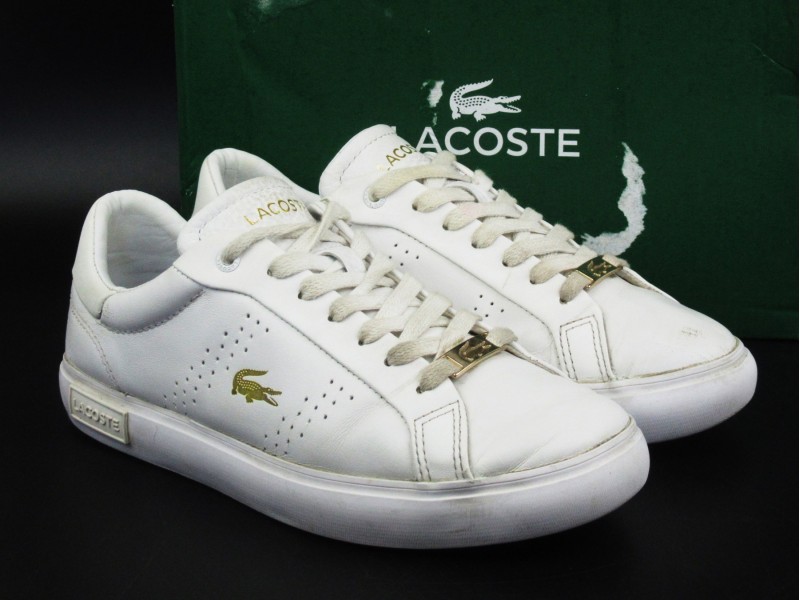 LACOSTE Powercourt patike KOŽA P4169