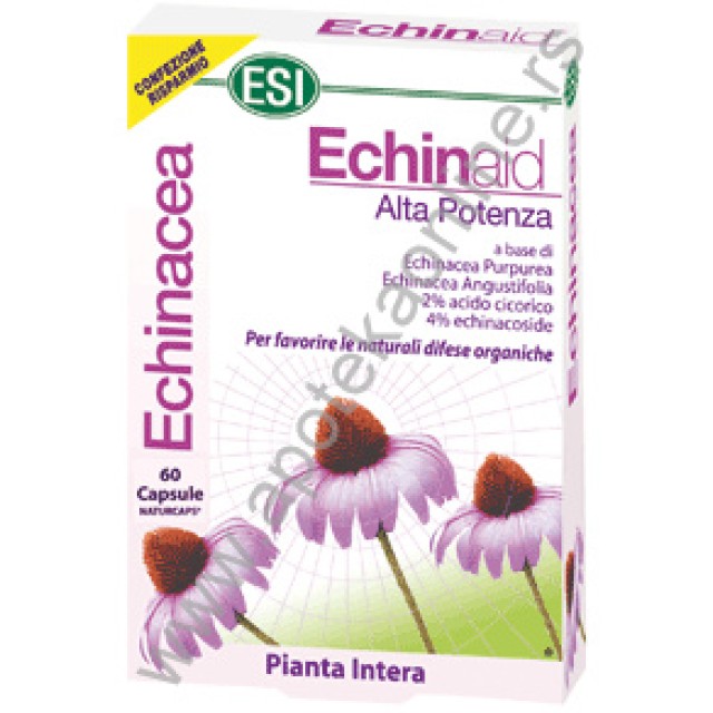 ECHINAID 30 KAPSULA