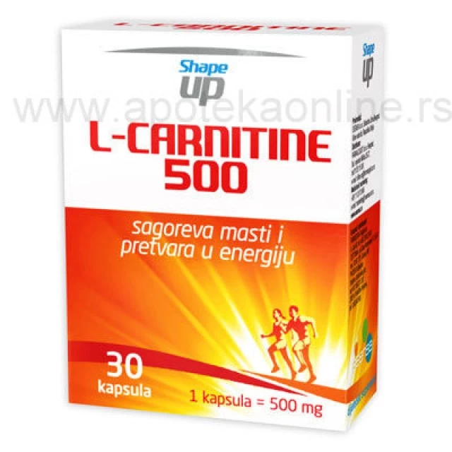 L - CARNITINE 500 KAPSULE