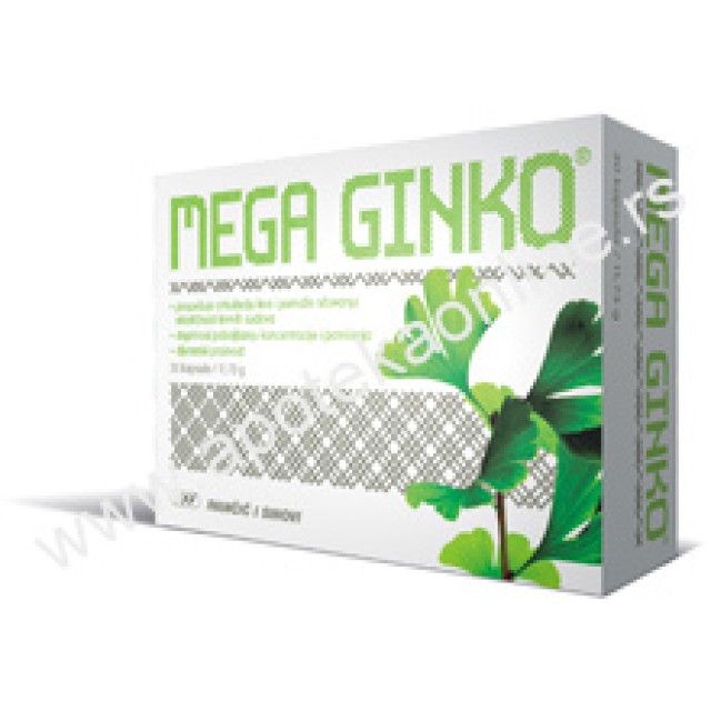 MEGA GINKO KAPSULE