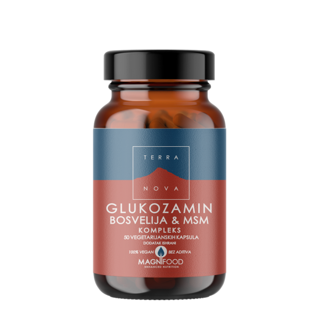 TERRANOVA GLUCOSAMINE BOSWELLIA MSM