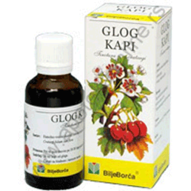 GLOG KAPI