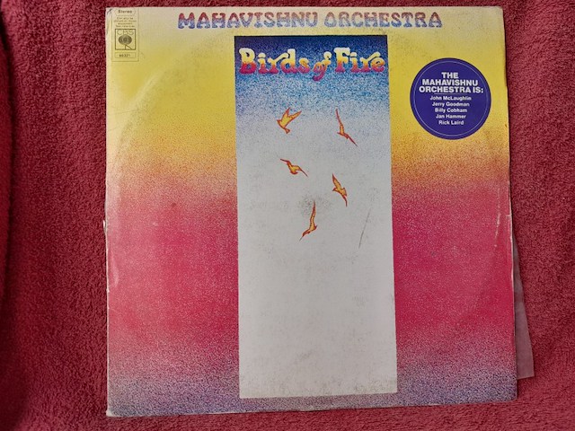 Mahavishnu orchestra - LP Bird and fire