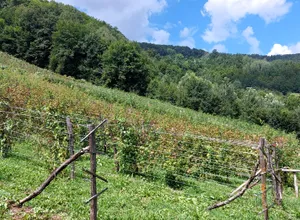 Prodaja Plac - Ivanjica, Bedina Varoš