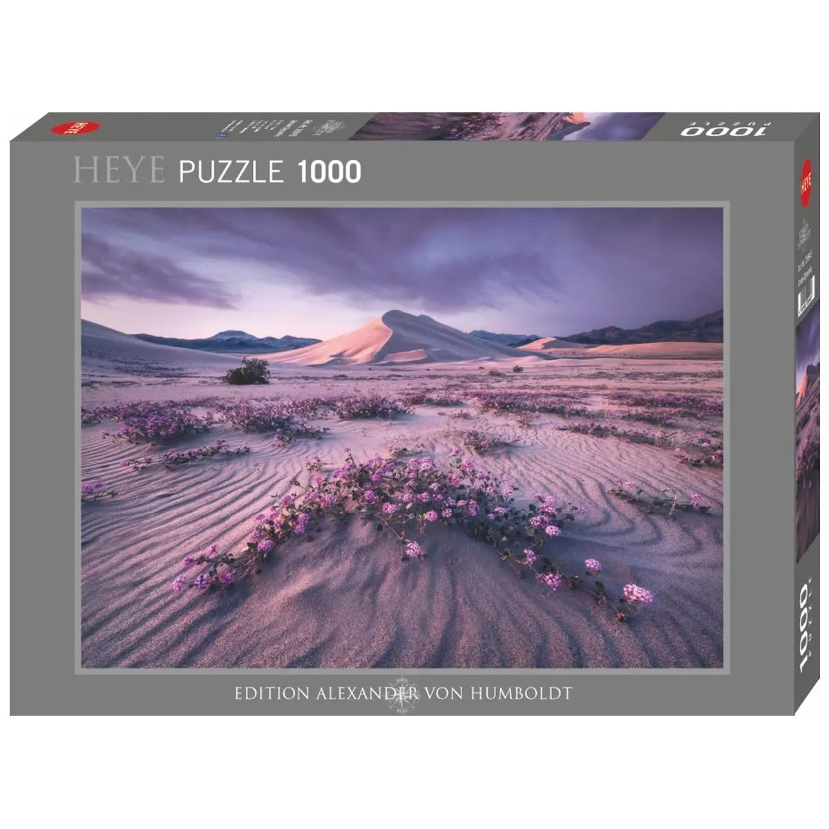 HEYE Puzzle Edition Humboldt Arrow Dynamic 1000 delova 29945