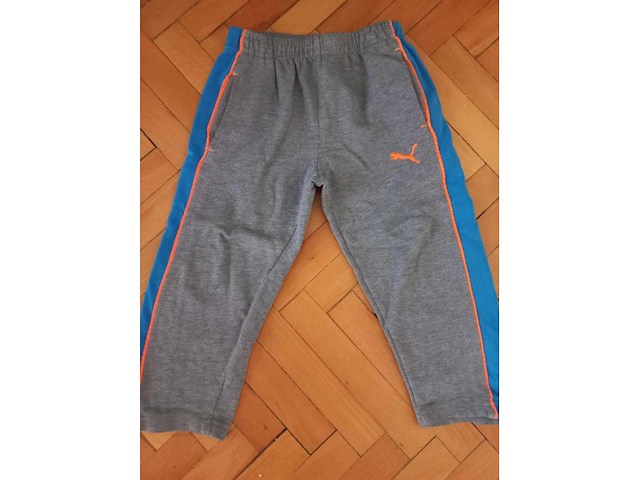 Puma trenerka