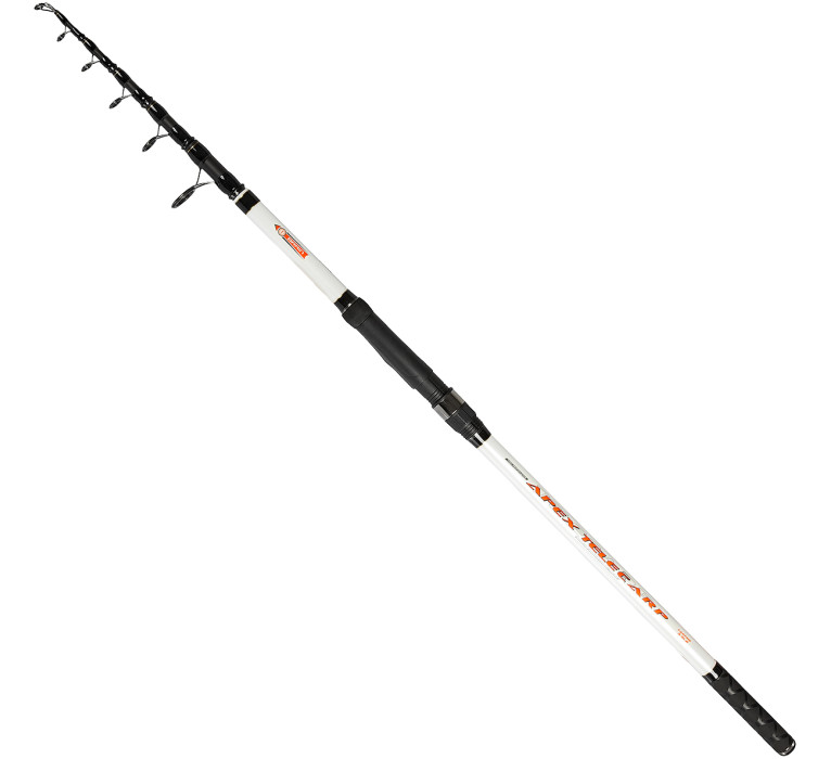 Brain Apex Tele Carp