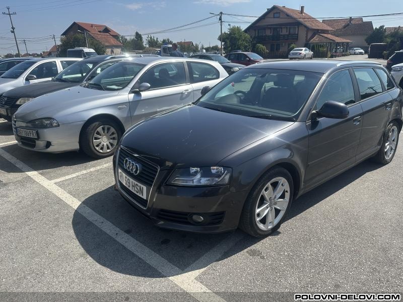 Audi A3 8p Karoserija