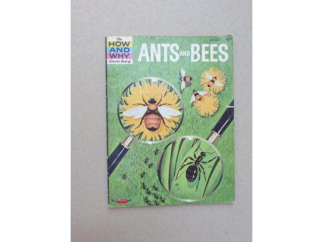 The How and Why - Ants and Bees