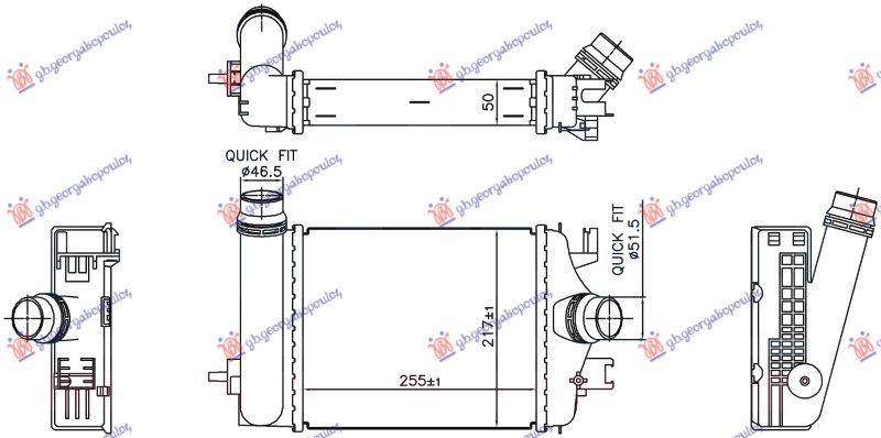 HLAD. INTERKULERA 1.0 TCE (255x217x50) RENAULT CAPTUR (2020-) (OEM: 144966668R)