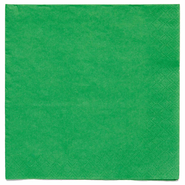 9915402208
20 Napkins Evergreen