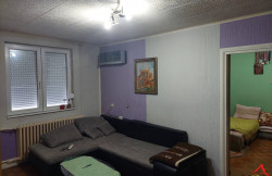 Stan,NOVI SAD,DETELINARA,kv: 50, € 87550, ID: 1025823