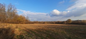 Mionica, Banja Lepenica, Sanković, 6.88 ha