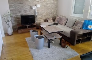 Iznajmljujem Stan-Apartman, Dedinje, Beograd Grad