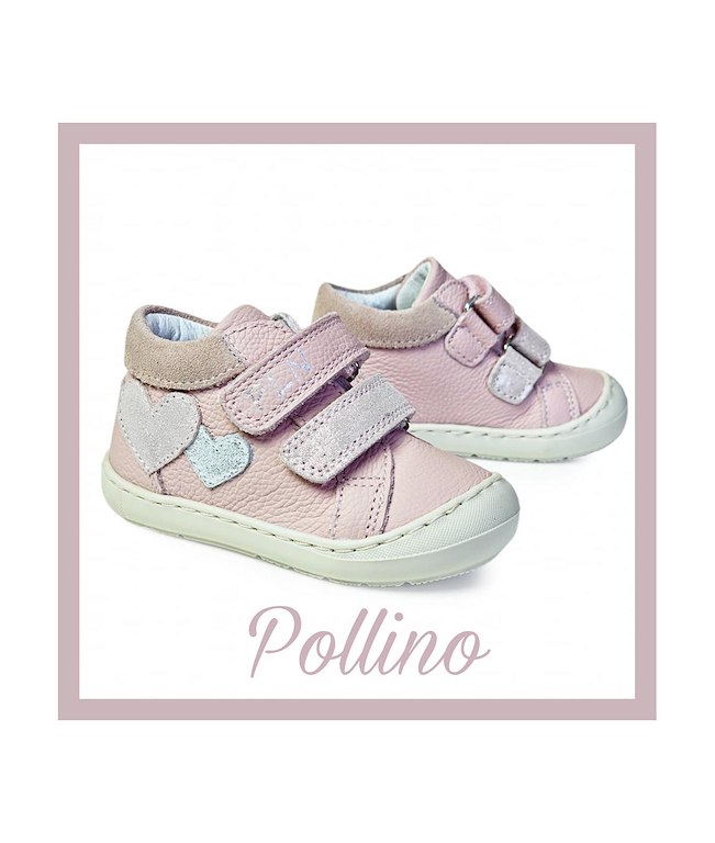 POLLINO CIPELE - ENZO / ROSA