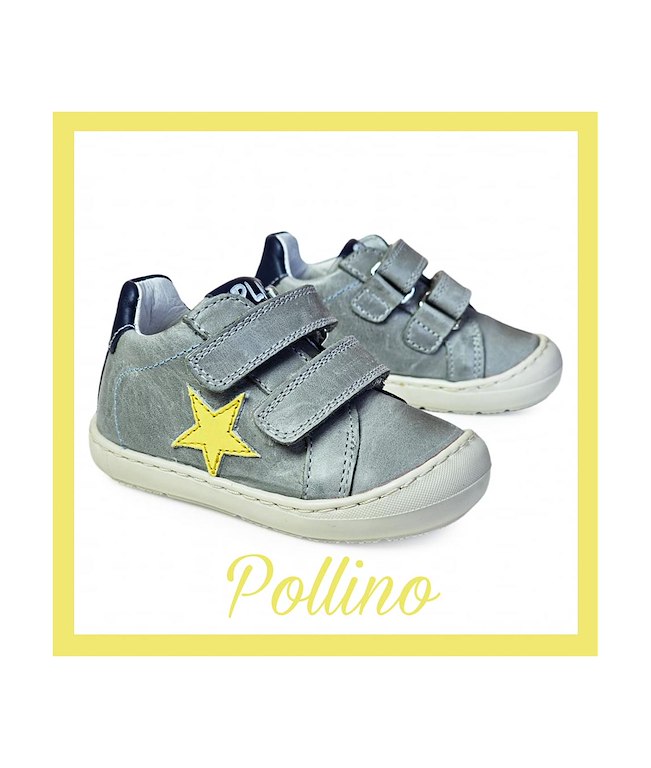 POLLINO CIPELE - ENZO / GREY