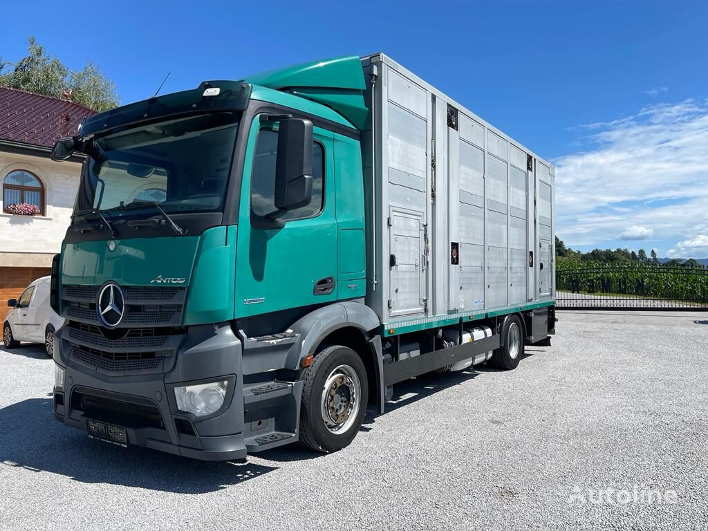 Mercedes-Benz Antos 1833 LL / Menke kamion za prevoz stoke