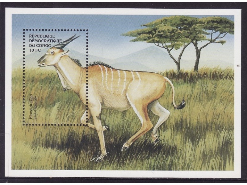 Kongo - Bl antilipa