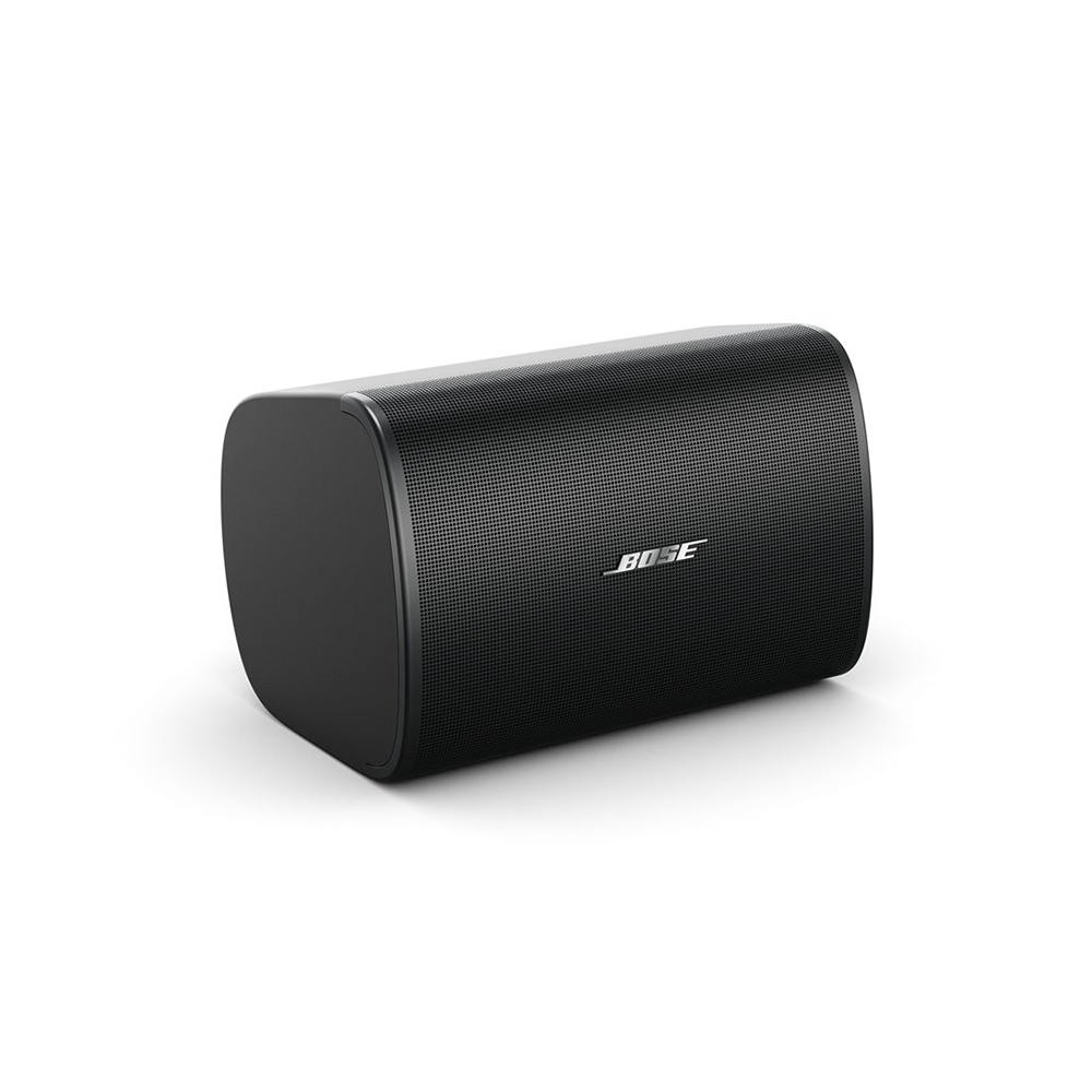 Bose DesignMax DM6SE (par)