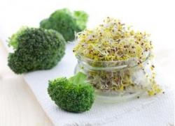 Seme Klice Brokoli(organsko)-Berba za 5-7 dana-Izuzetno zdrvo.