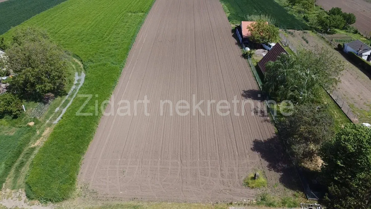 Prodaja, zemljište, 3500m2, Belegiš, Stara Pazova