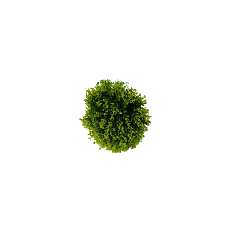 Lopta buxus duži 025 0046-46