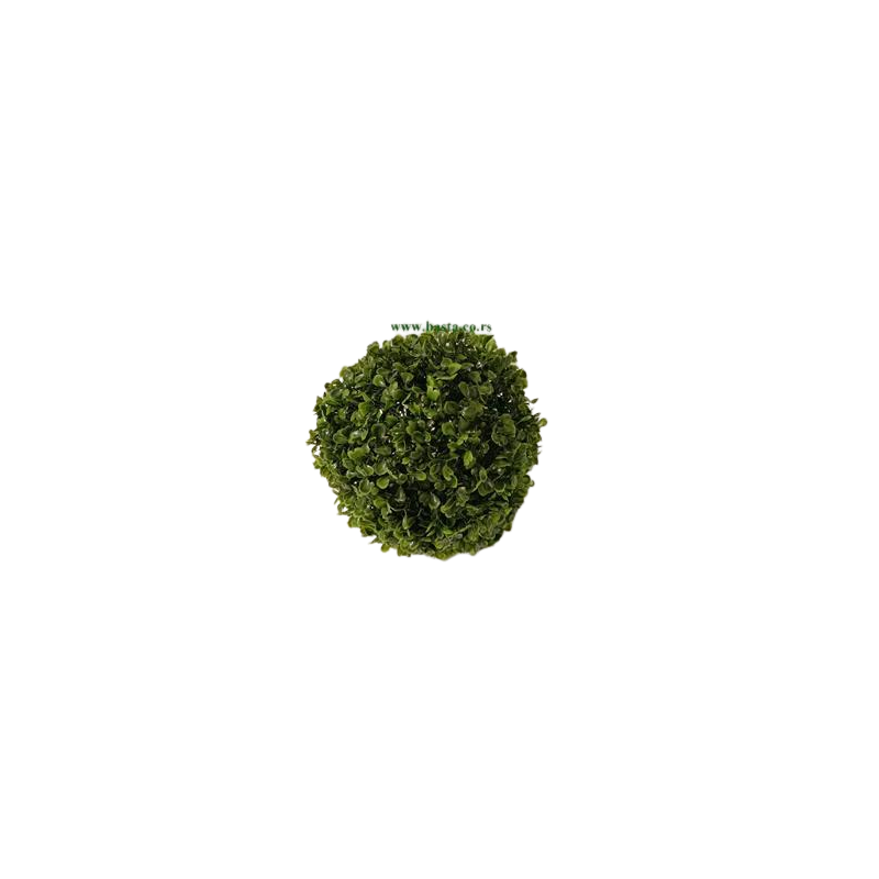 Lopta buxus 022 0046-4