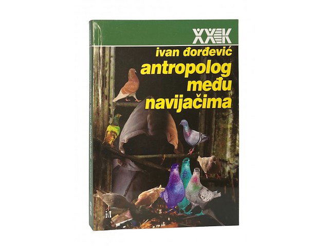 Antropolog među navijačima - Ivan Đorđević ✔️