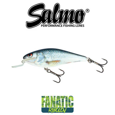 Executor 7 Salmo