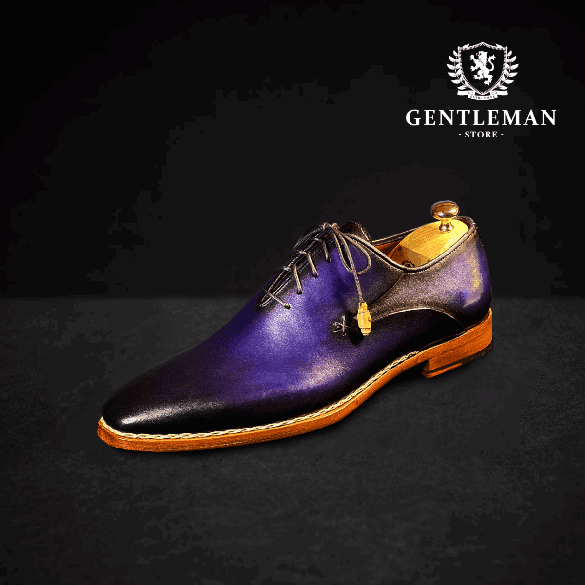 C013 | KOŽNE LUKSUZNE CIPELE GENTLEMAN SHOES