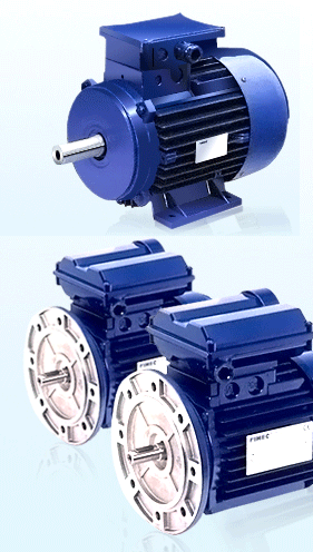 Asinhroni trofazni motori serije VE 3000 obrtaja/min (Snaga: 3 KW; 4 KS)
