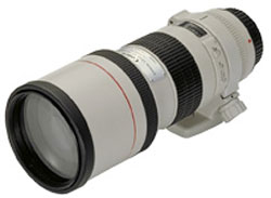 Canon EF 300mm f/4L Lens