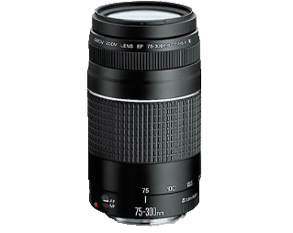 Canon EF 75-300mm F/4-5.6 III Lens