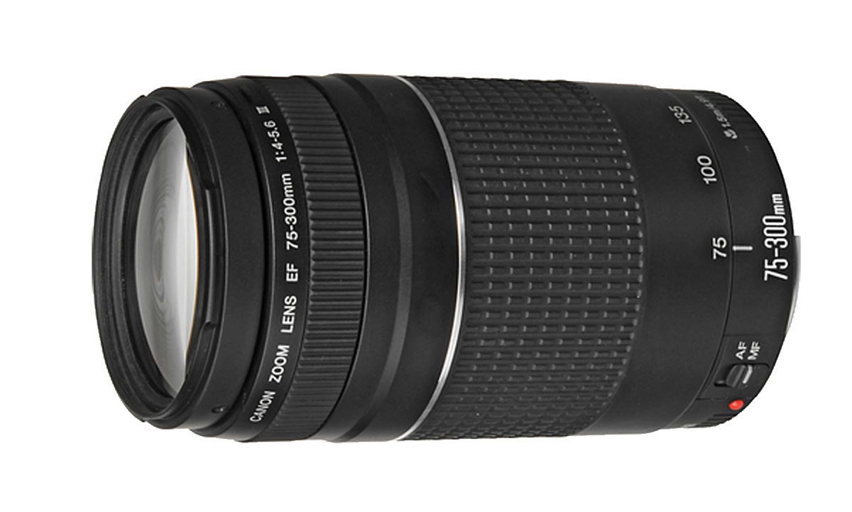 Canon EF 75-300mm F/4-5.6 III Lens 2