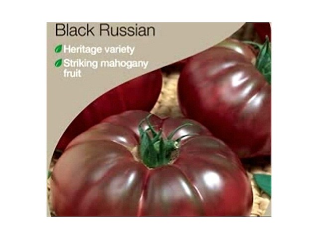 Seme paradajza Black Rusia- antioksidantni