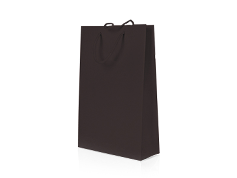 PAPER BAG (7004)