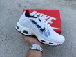 Nike Air Max Plus Terrascape Spray Paint Swoosh