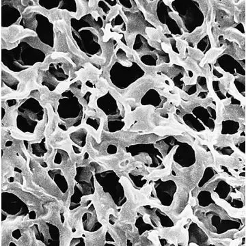 Hidrofilni membranski filteri od PVDF, MERCK MILLIPORE, Ø 25 mm, dim. pore 0,1 µm