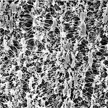 MERCK MILLIPORE PTFE membranski filteri , Ø 25 mm, dim. pore 0,45 µm