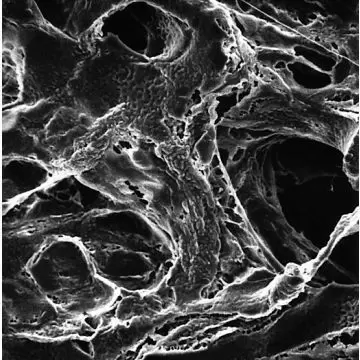 PTFE membranski filteri bez potporne strukture MERCK MILLIPORE, ø 13 mm, dim. pore 10 µm, ROTH
